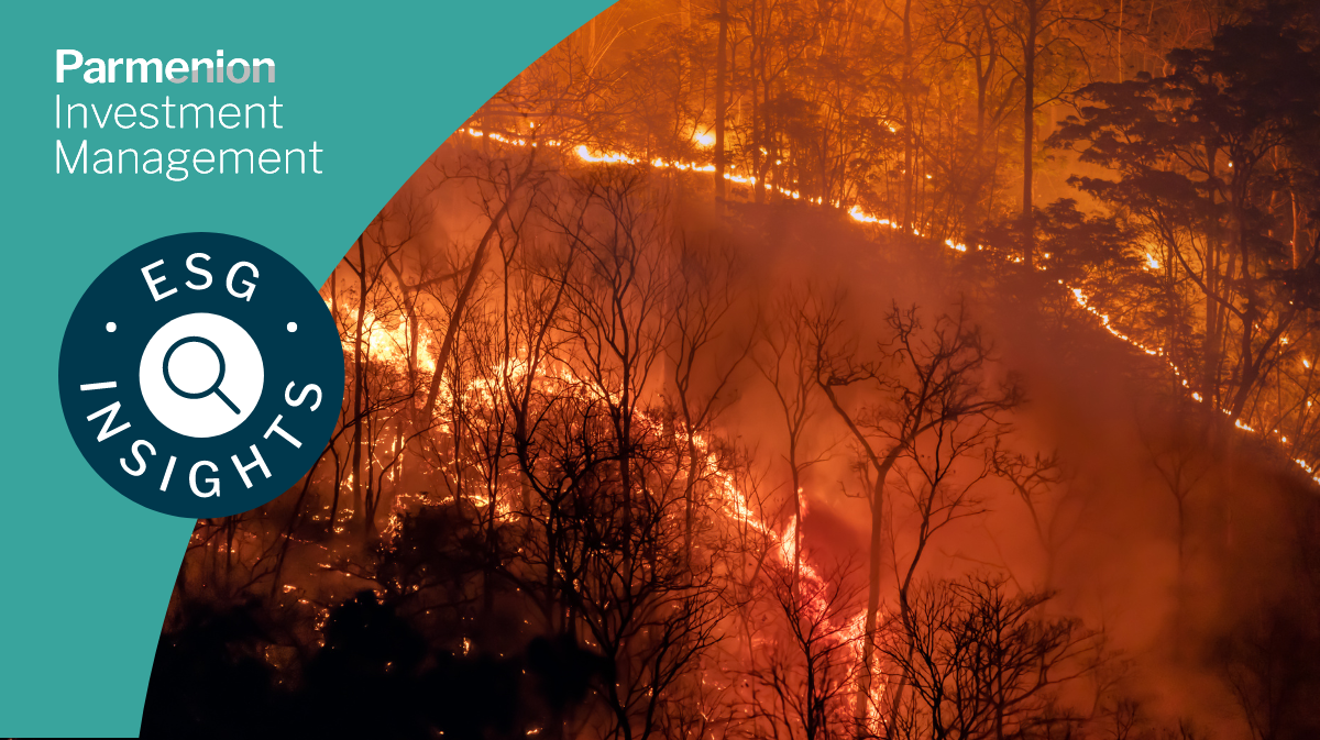 ESG Insights #10 | Parmenion