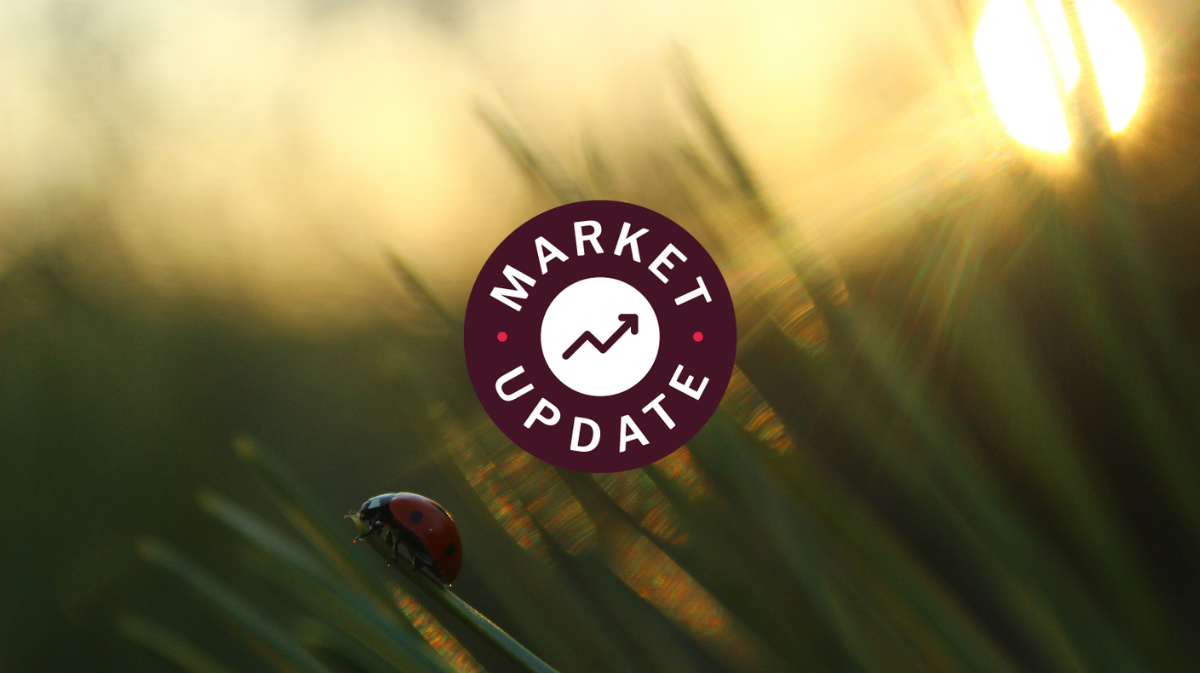 Positivity reigns as inflation shows signs of easing