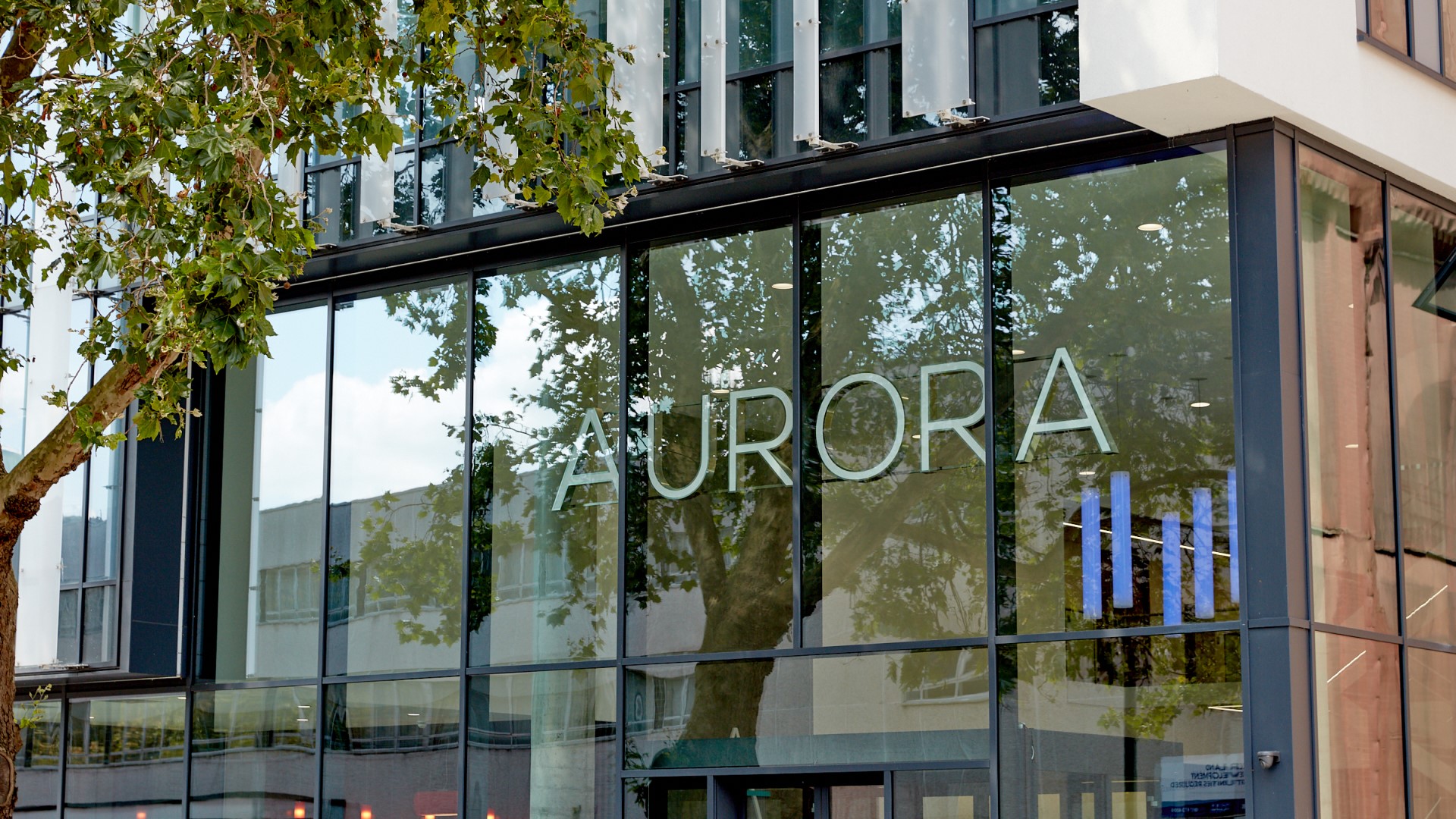 Due Diligence Assessment 2023