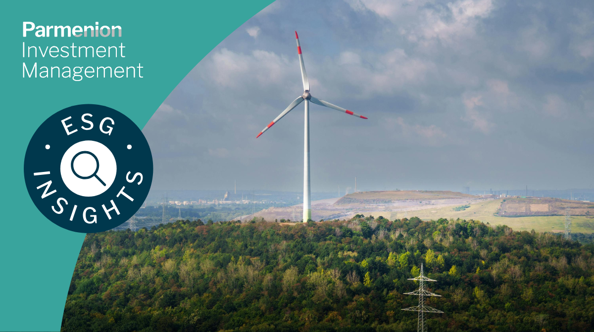 ESG in focus – clean energy comeback | Parmenion