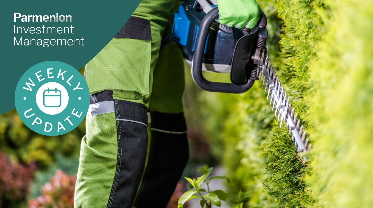 Weekly Market Update and Featured Chart #20 | Parmenion